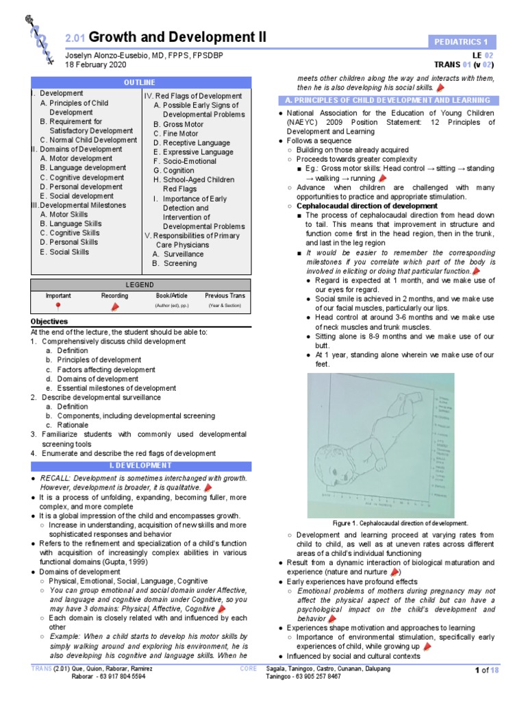Child Development Principles & Milestones | PDF | Child Development ...