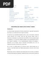 Clasificación de Fimosis Kayaba | PDF | Mamíferos machos | Pene