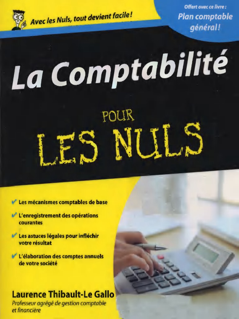 Comptabilite Pour Les Nuls | PDF