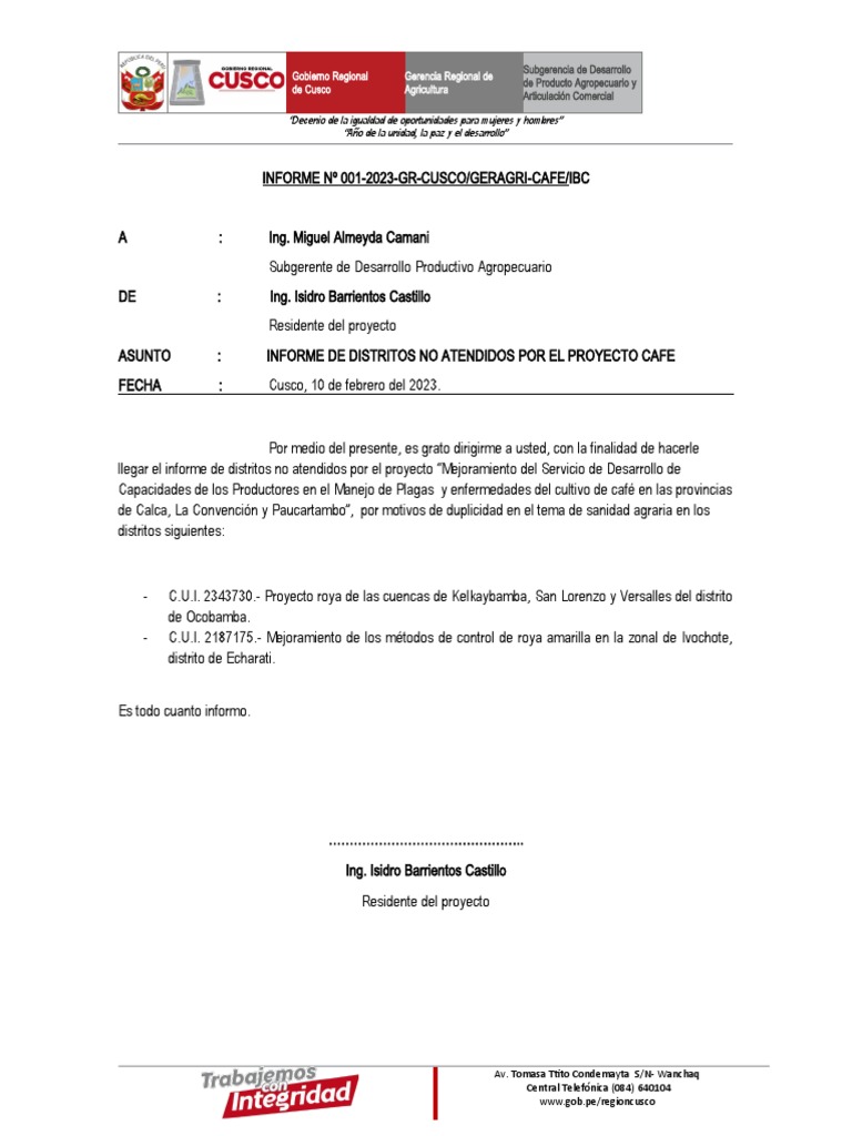 Modelo Informe | PDF