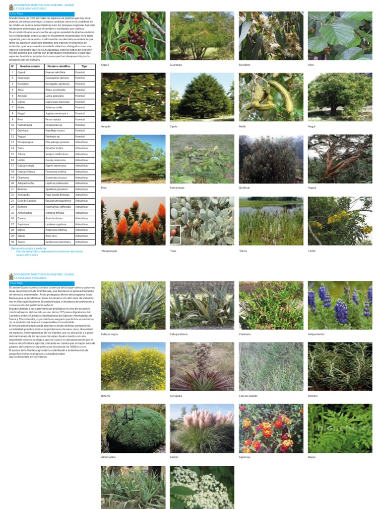 Flora y Fauna | Descargar gratis PDF | Fauna | Ecuador