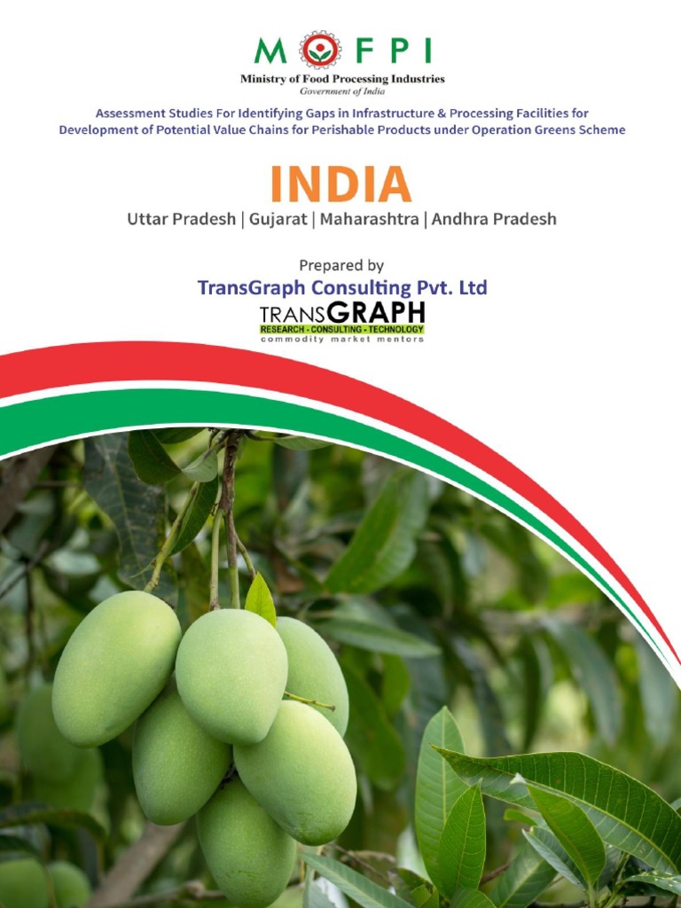 Mango Production and Processing Insights | PDF | Mango | Fruit
