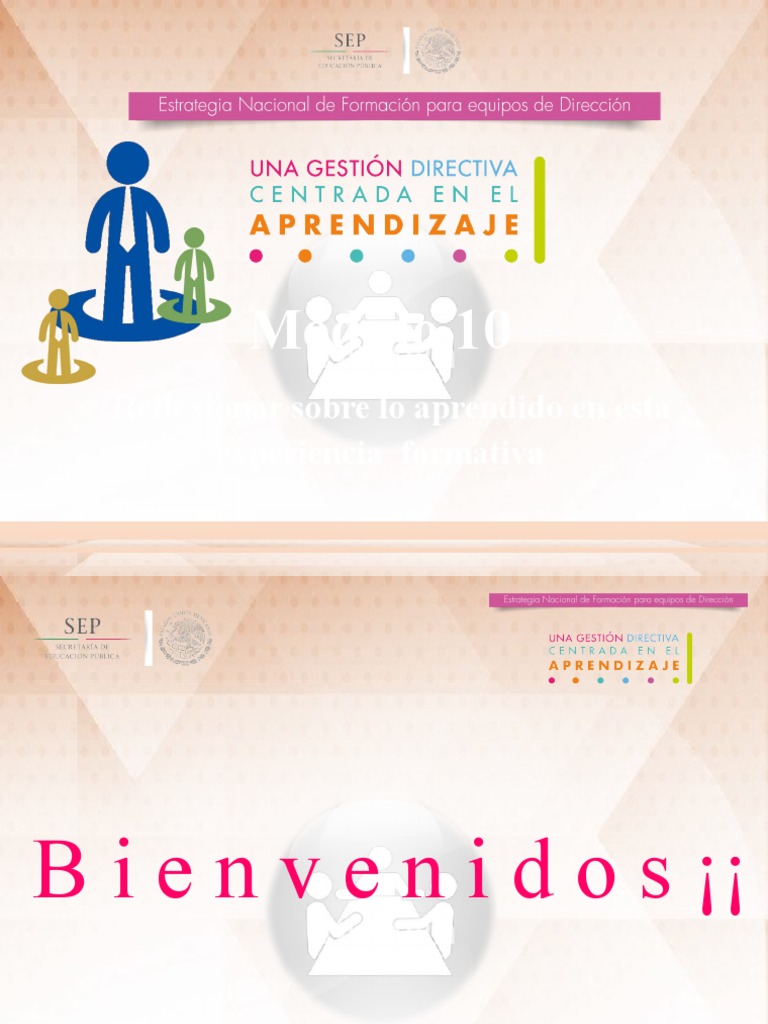 Diplomado Modulo 10 | PDF