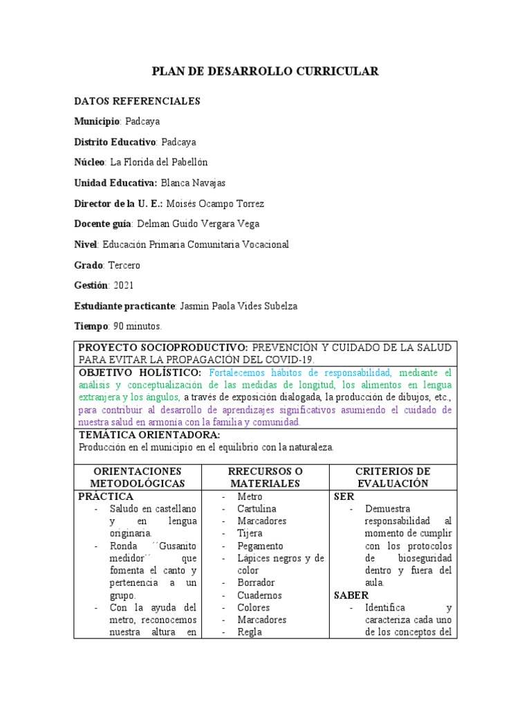 Plan de Desarrollo Curricular | PDF | Cognición