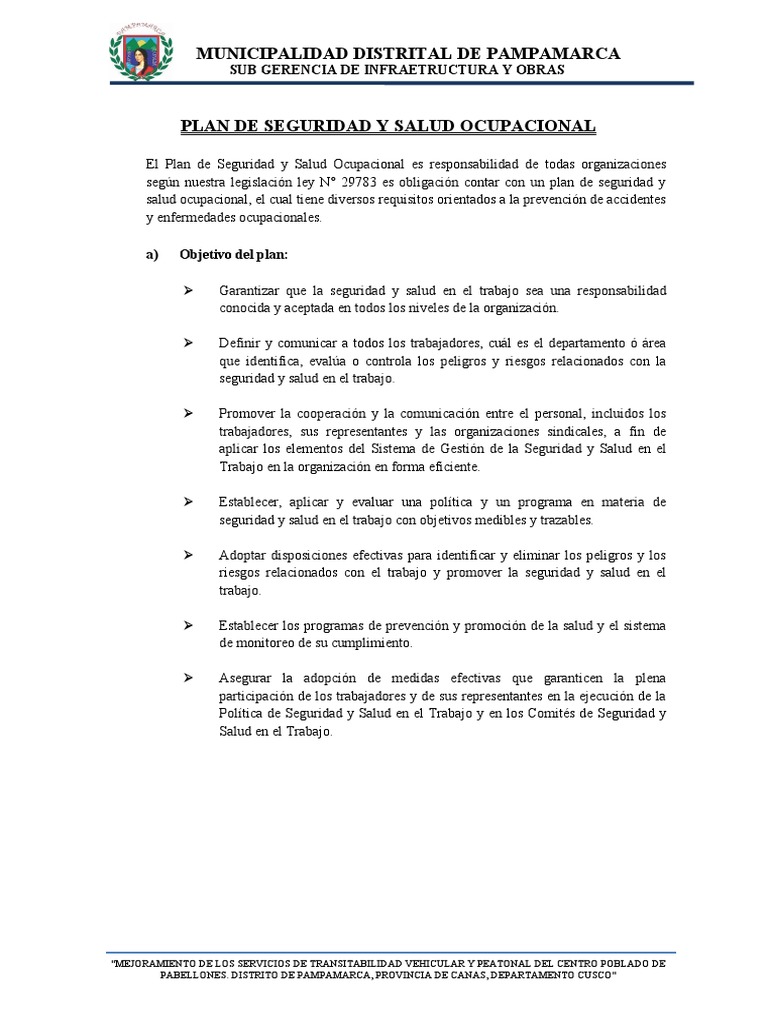 FORMATO 23 - Plan de Seguridad | PDF | Seguridad y salud ocupacional | Valores