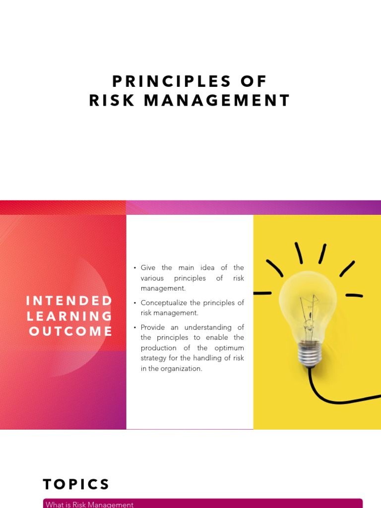 Principles of Effective Risk Management | PDF | Risk Management | Risk