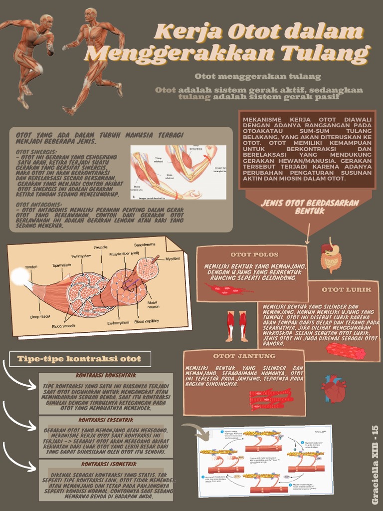 Poster Kerja Otot | PDF