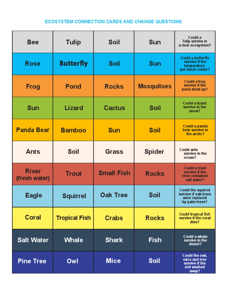 Ecosystem Connection Cards and Change Questions | PDF | Trees ...