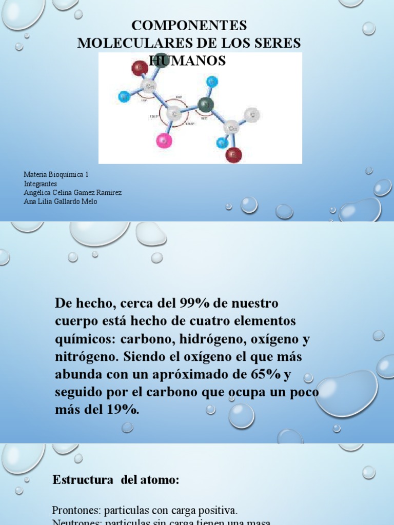 Componentes Moleculares de Los Seres Humanos | PDF | Carbohidratos | Lípido