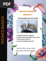 Manual de Belleza Del Cabello | PDF | Color | Pelo