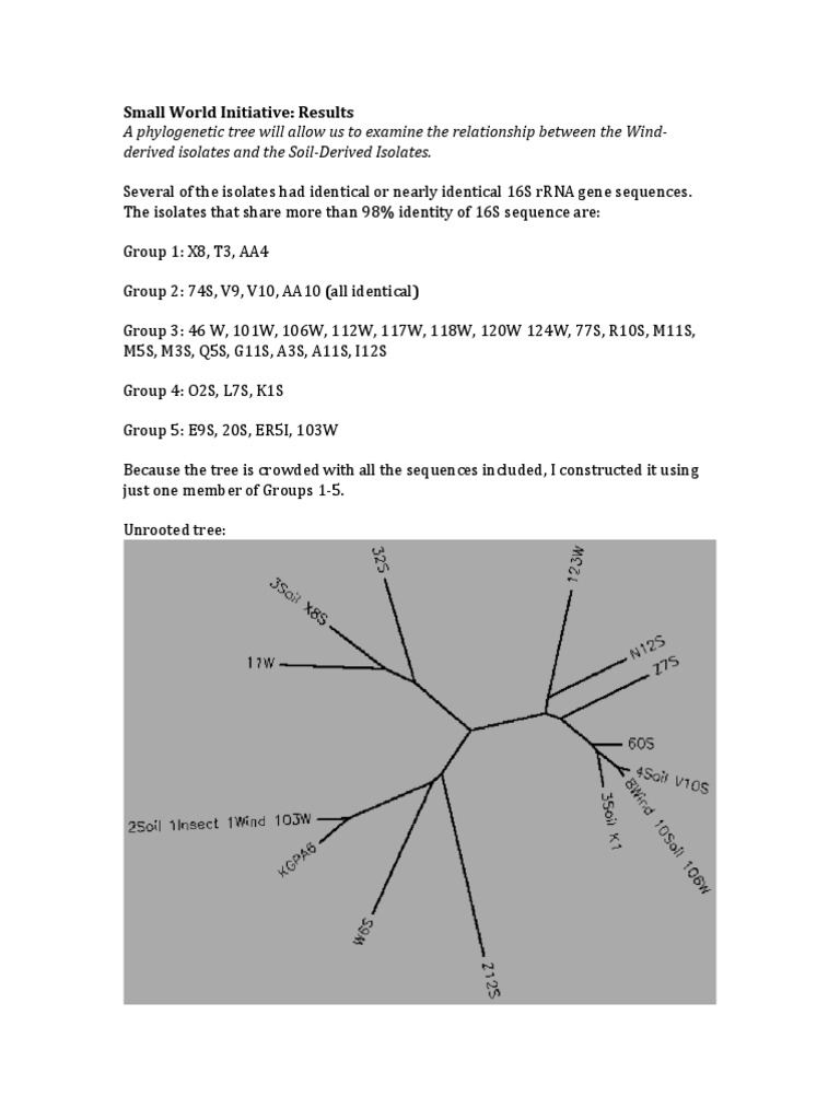 PhyloGenetic Analysis | PDF