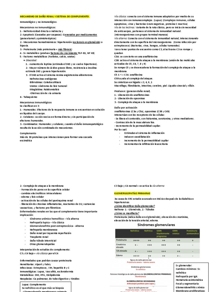 NEFRO | PDF | Especialidades Medicas | Medicina CLINICA