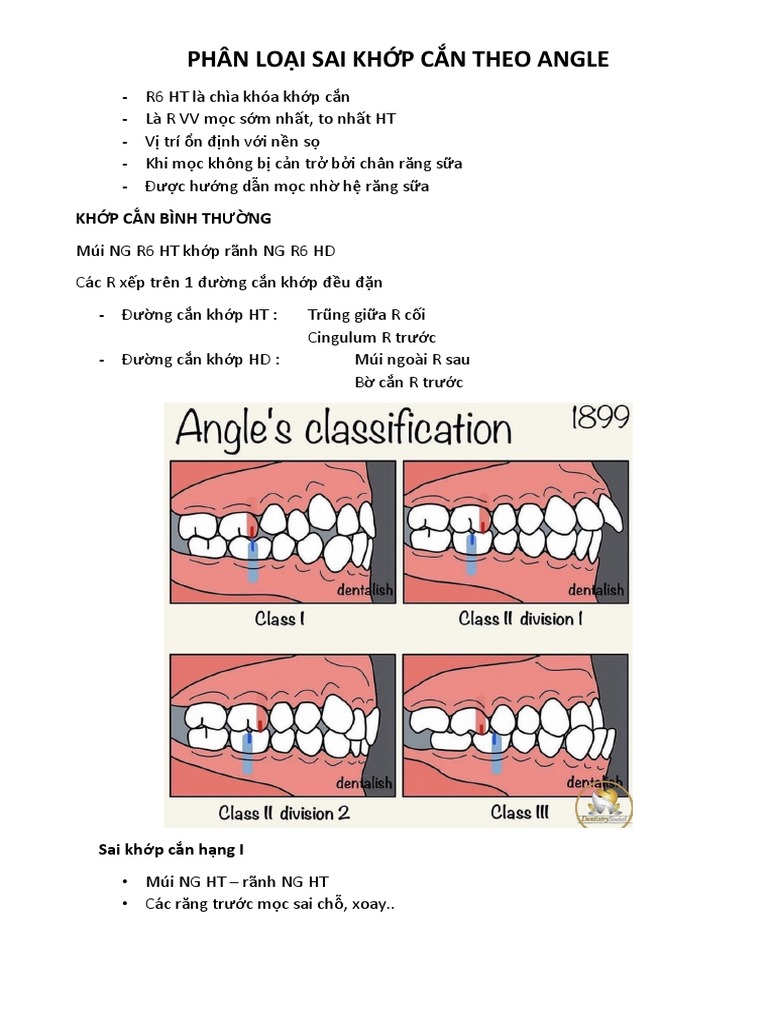 PHÂN LOẠI SAI KHỚP CẮN THEO ANGLE | PDF