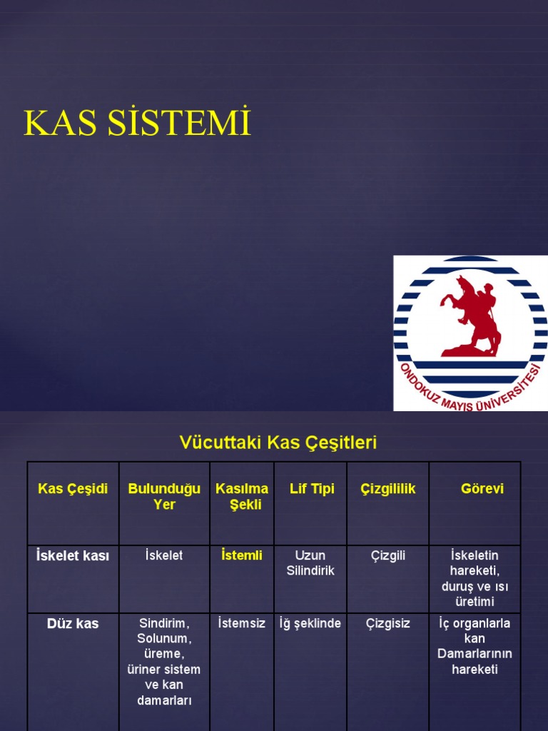 Kas Sistemi | PDF