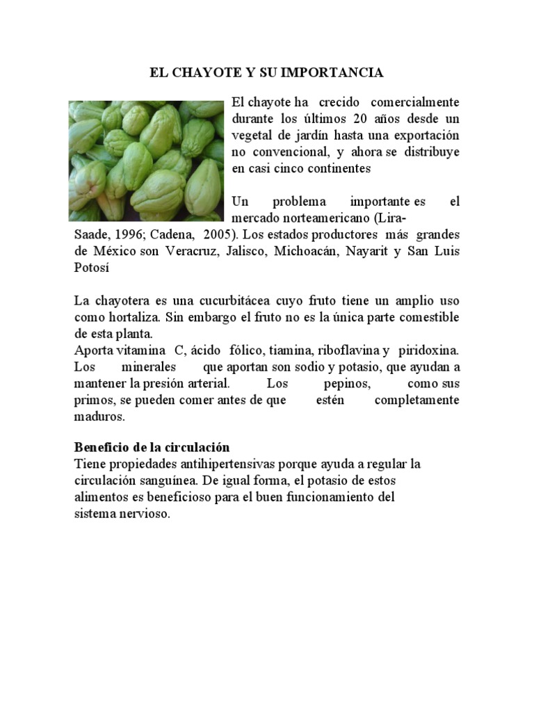 Nutricion Del Chayote | PDF