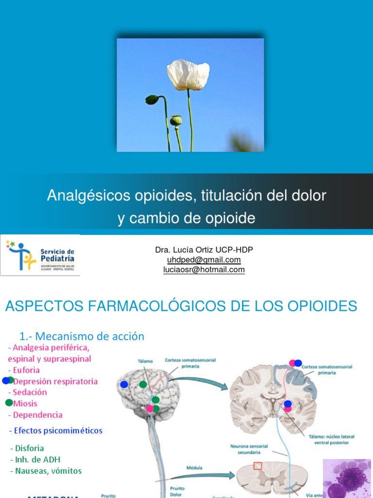 Analgésicos Opioides | PDF | Fentanilo | Opioide