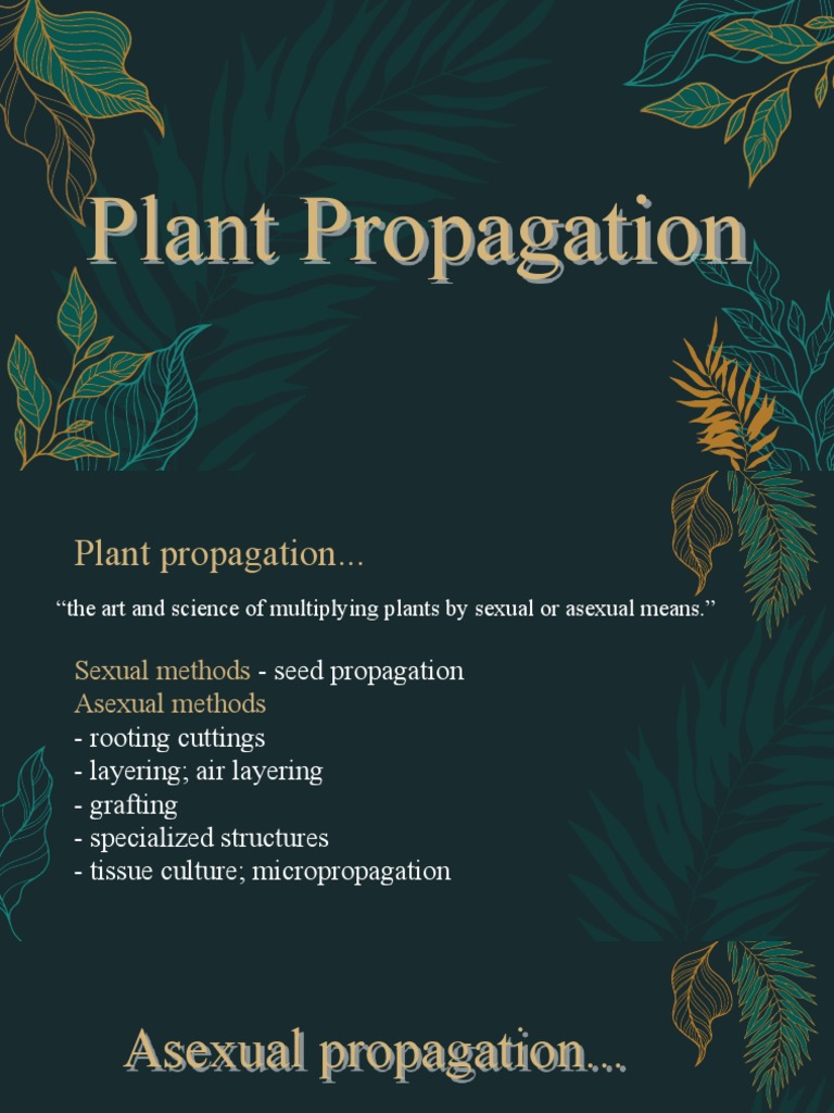 Marcotting - Plant Propagation | PDF