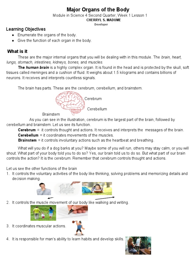 Q2 Science Wk1 Lesson 1 | PDF | Digestion | Heart