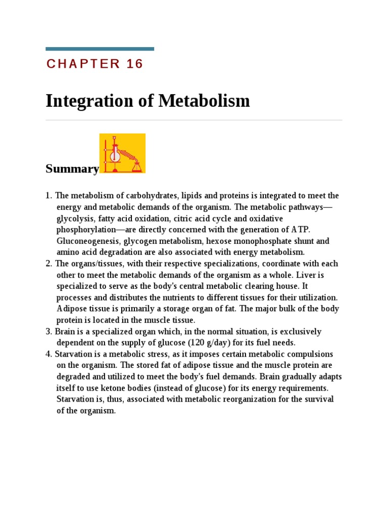 Metabolism Integration Overview | PDF | Metabolism | Metabolic Pathway