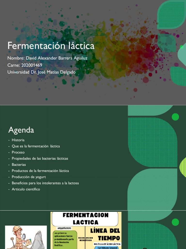 Fermentación Láctica | PDF | Yogur | Fermentación