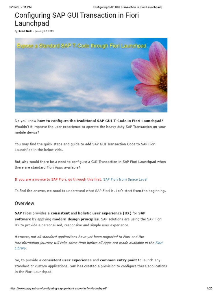 Configuring SAP GUI Transaction in Fiori Launchpad _ | PDF | Graphical ...