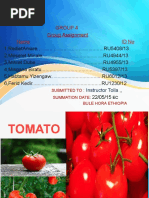 The tomato | PDF