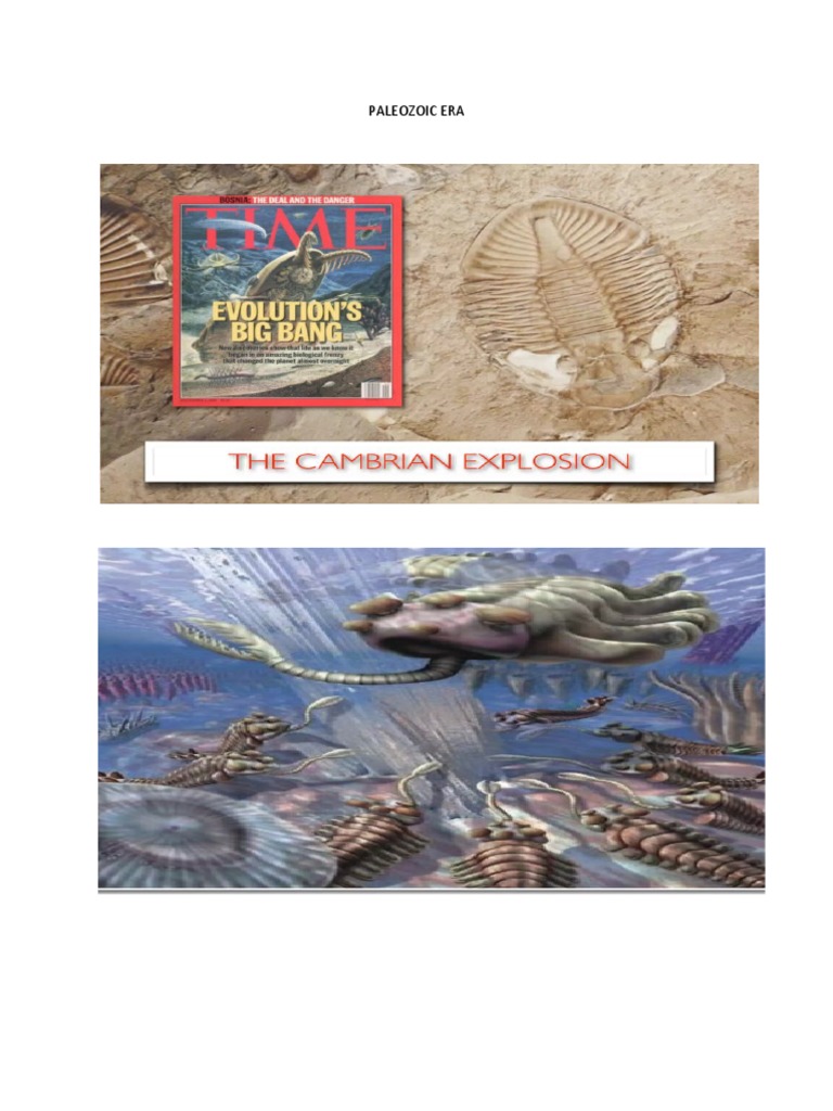 Overview of the Paleozoic Era | PDF
