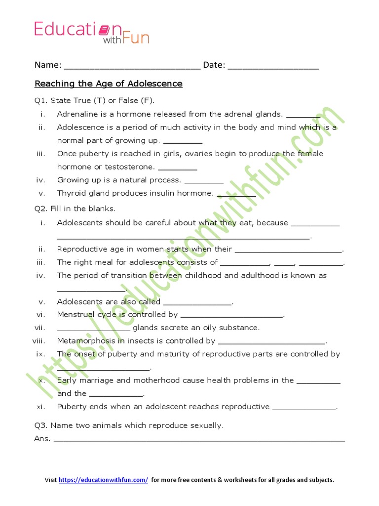 Adolescence Worksheet for Class 8 | PDF | Puberty | Adolescence