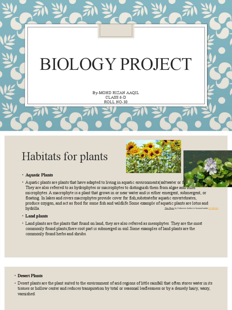 Biology Project | PDF | Plants | Natural Environment