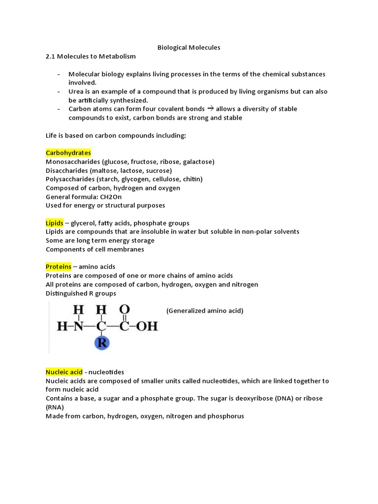 Biological Molecules Revision | PDF | Polysaccharide | Fatty Acid