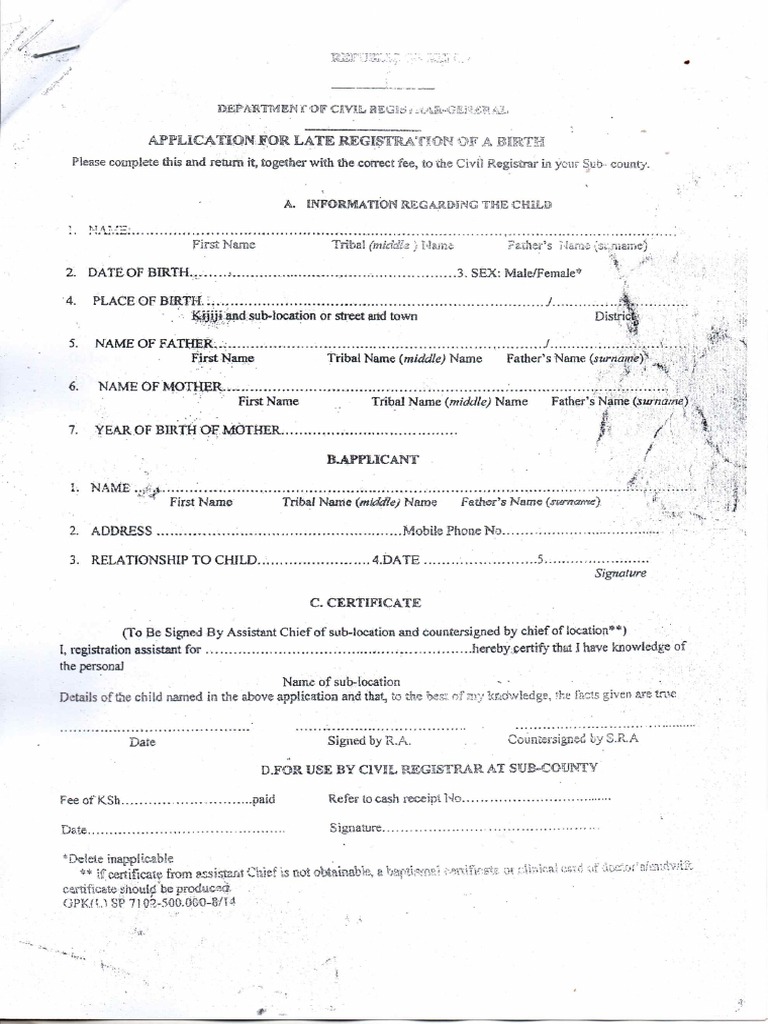 Birth Certificate Form | PDF