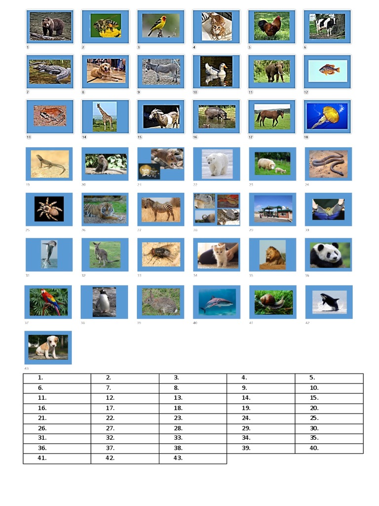 Animals Movers A1 | PDF