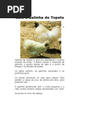 Tabela de Anilhas FOB 2025 | PDF | Aves | Ornitologia