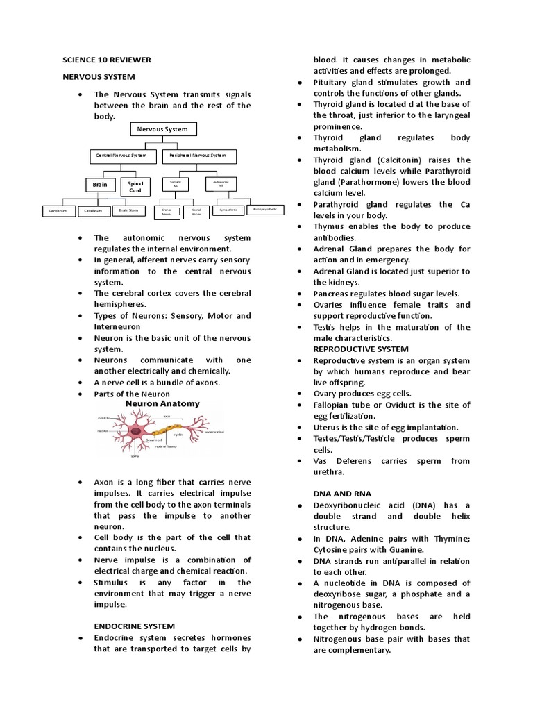 Science 10 Reviewer | PDF | Dna | Nervous System
