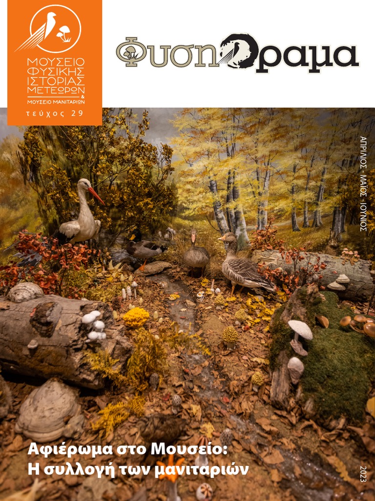 ΦυσηΌραμα Τεύχος 29 | PDF