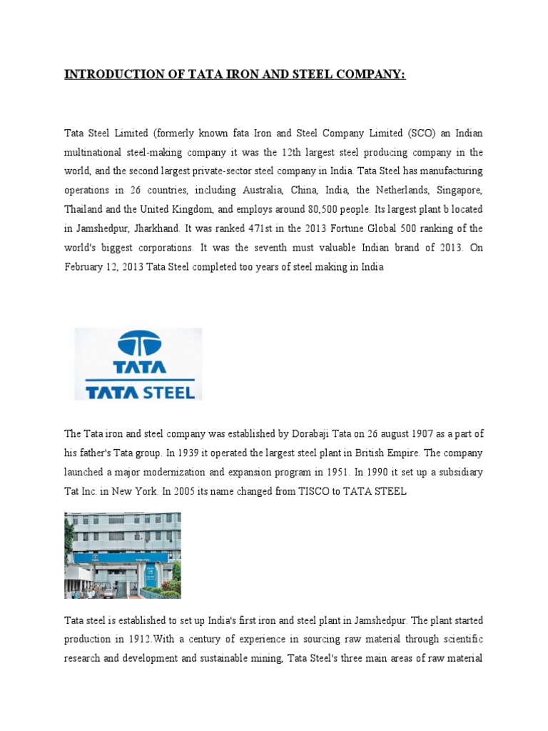 Introduction of Tata Iron and Steel Company | PDF | Expense | Taxes