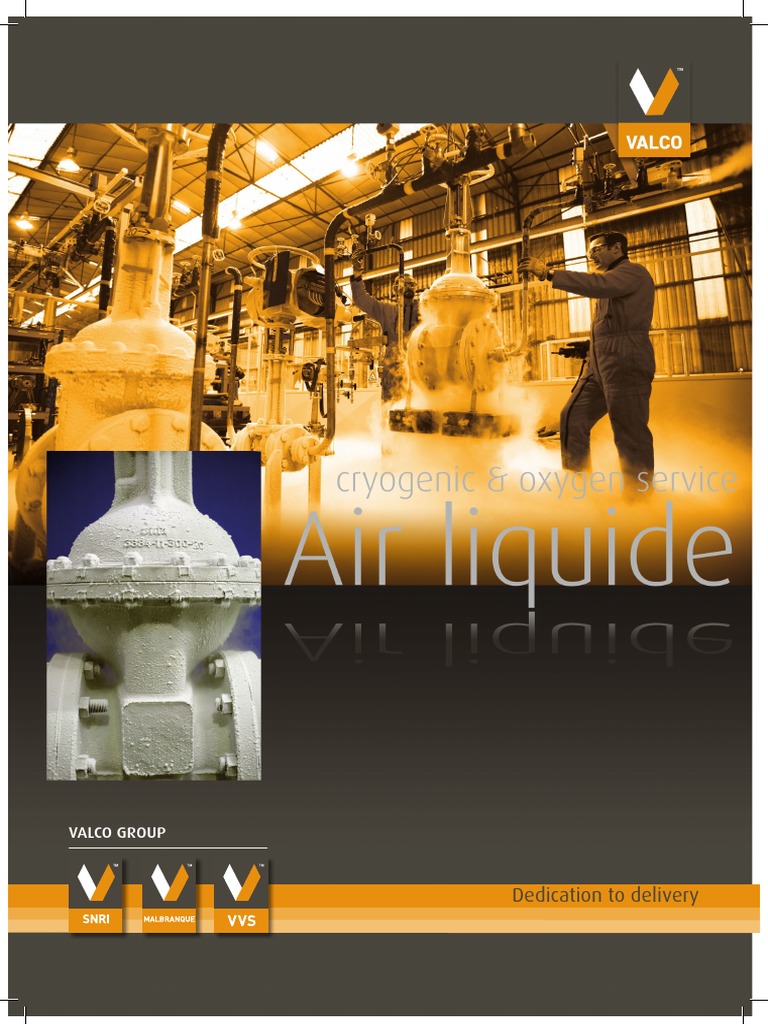 Brochure - Valco - Air Liquide Valves - English | PDF | Valve | Screw