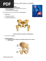 Articulación Coxofemoral | PDF | Rodilla | Anatomía