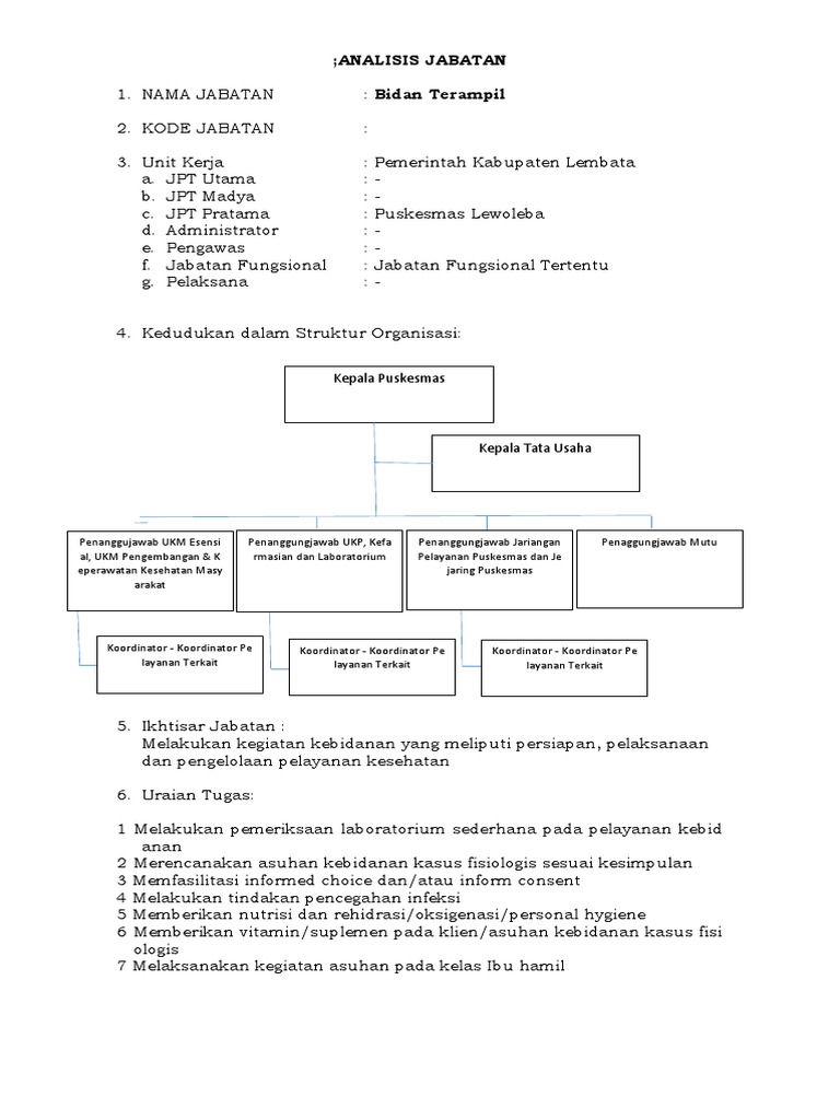 Anjab Bidan Terampil | PDF