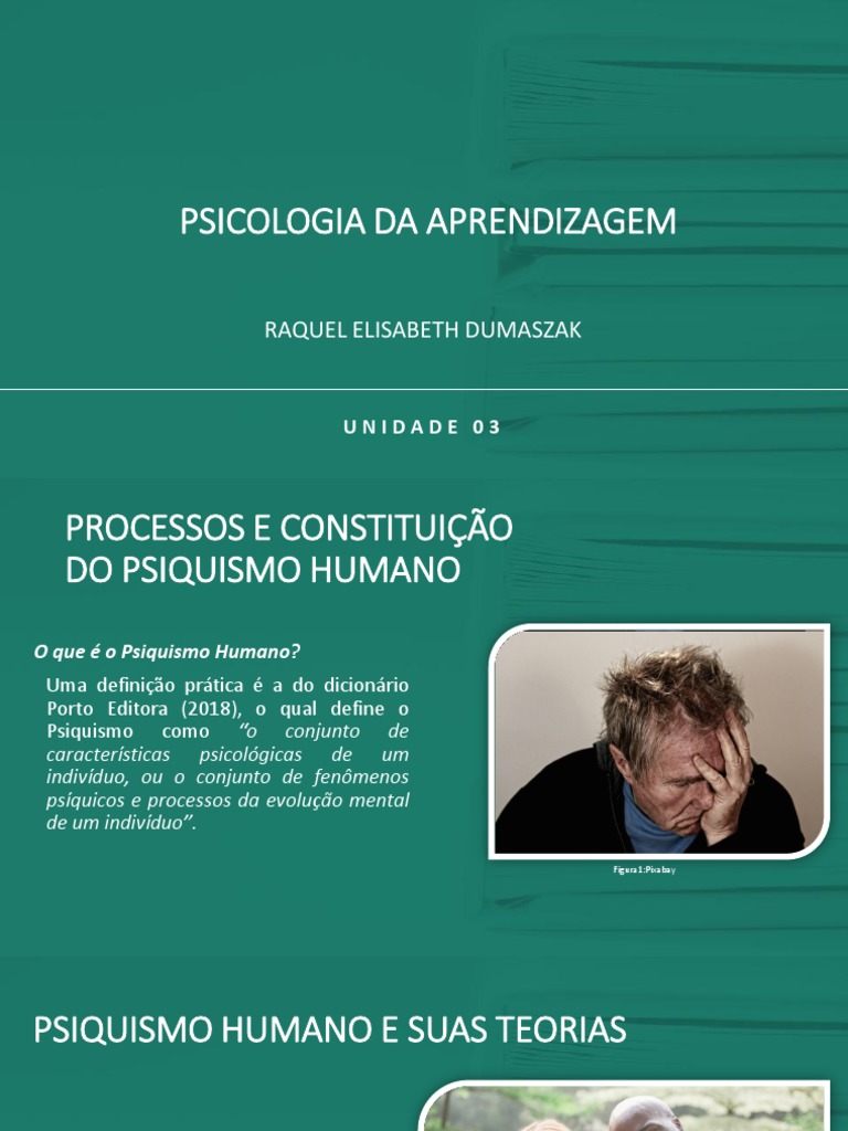 Slide da Unidade - Desenvolvimento do Psiquismo Humano | PDF ...