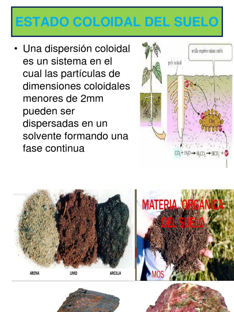 Estado Coloidal Del Suelo | PDF | Coloide | Adsorción