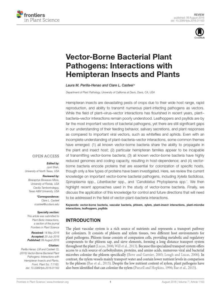 Vector-Borne Bacterial Plant Pathogens: Interactions With Hemipteran ...