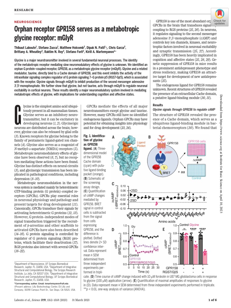 Orphan receptor GPR158 serves as a metabotropic glycine receptor mGlyR ...