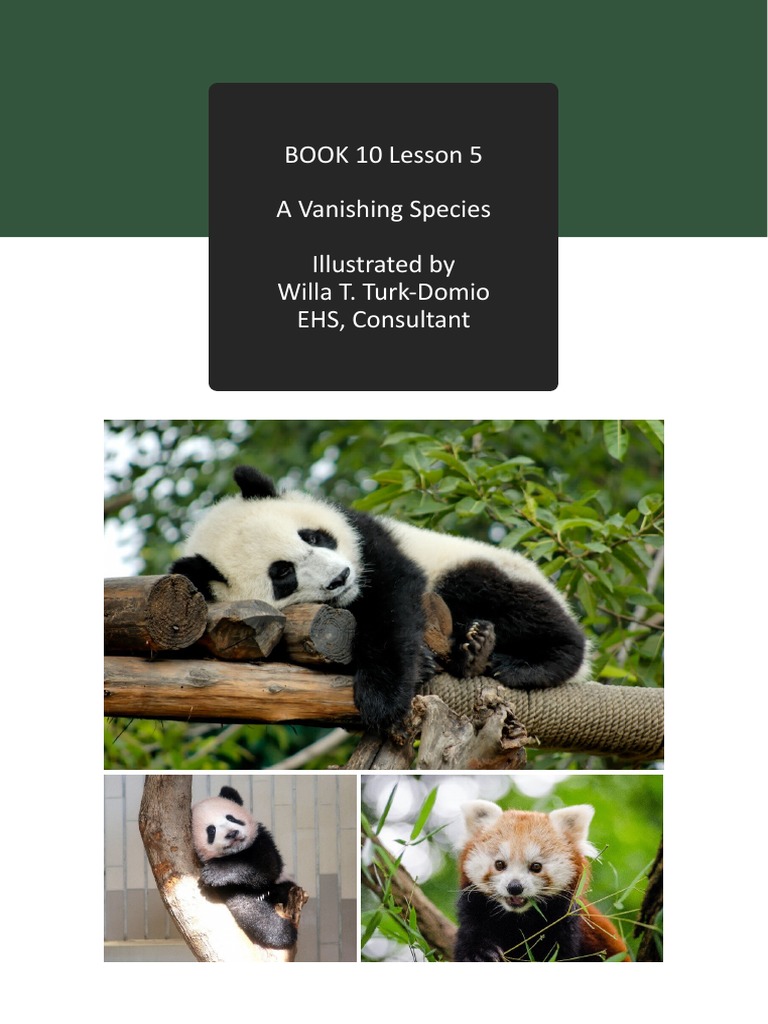 Book 10 Lesson 5 2023 | PDF | Giant Panda | Poaching