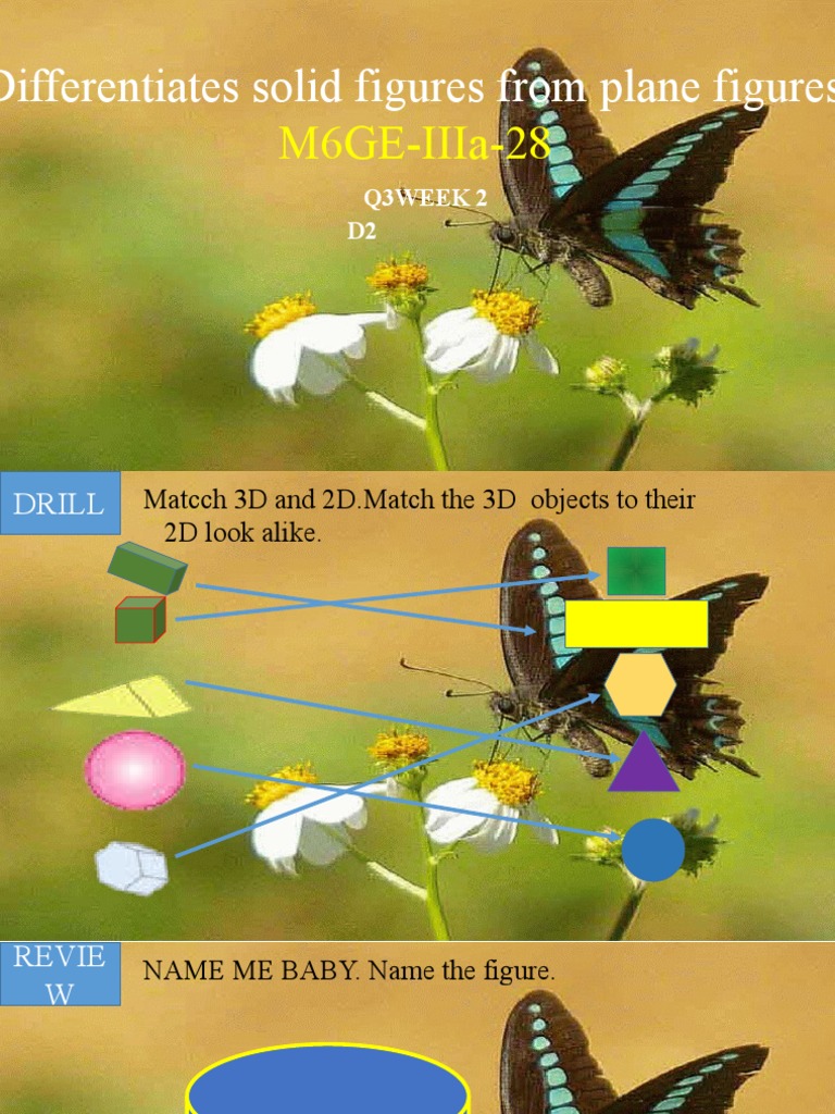 Solid vs. Plane Figures Explained | PDF | Shape | Rectangle
