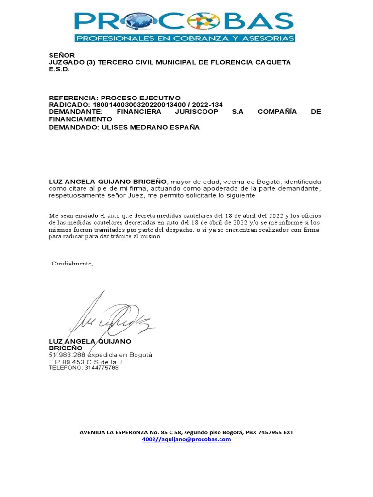 Solicitud Auto Decreta y Oficios | PDF