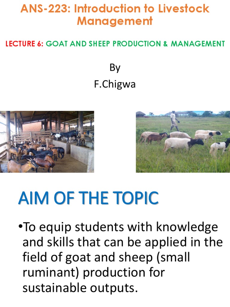 Lecture 6. Goat and Sheep Production and Management - FC | PDF | Sheep ...