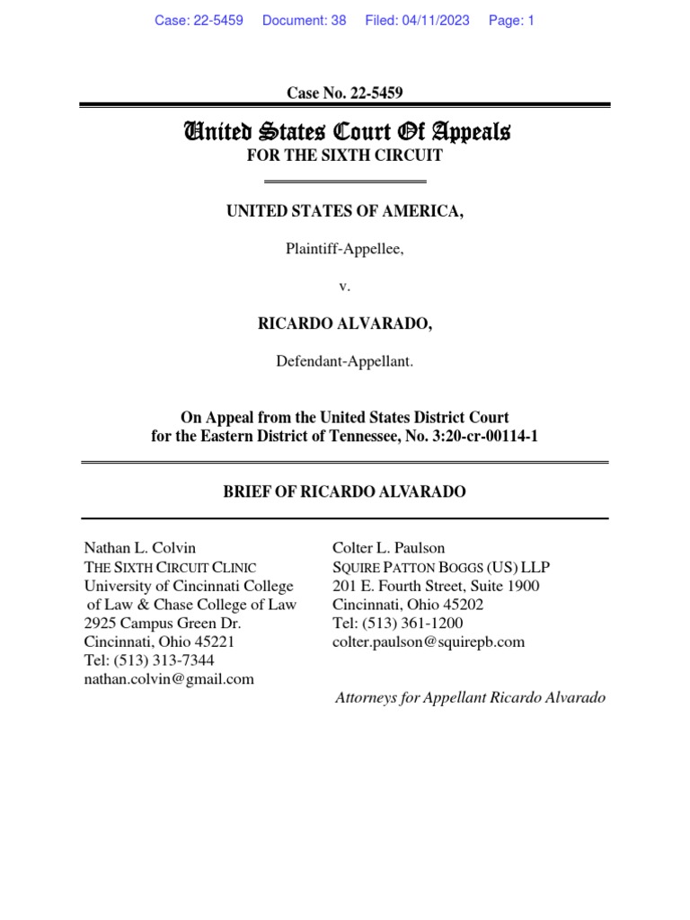 Alvarado Appeal on Gun Possession Case | PDF | Second Amendment To The ...