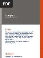 Lectia 5.2 Scripetele | PDF