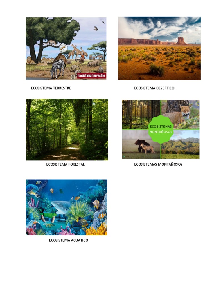 5 Ecosistemas | PDF